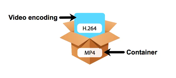 Blog | Every video format, codec, and container explained | api.video